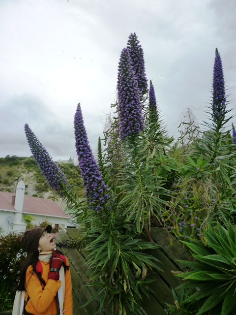 Siu~V: NZ Day 12 : Kaikoura