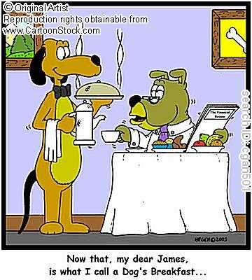 English idioms,sayings and expressions: a dog's breakfast/dinner 20167 ...