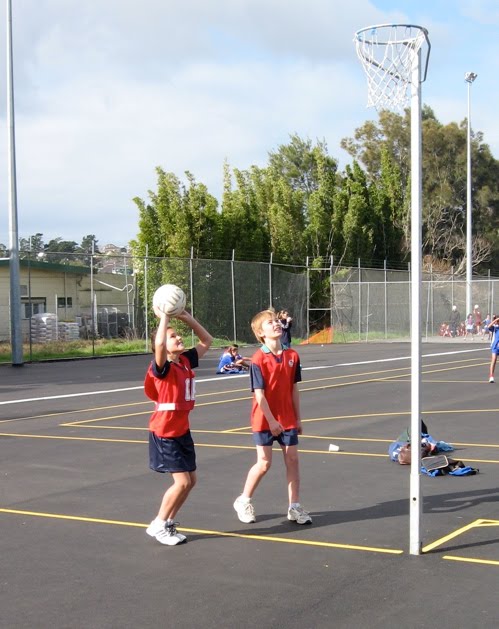 BBPS Senior News: THE NETBALL FIELD DAY