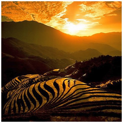 PICTURES FROM HISTORY: Rare Images Of War, History , WW2, Nazi Germany ...