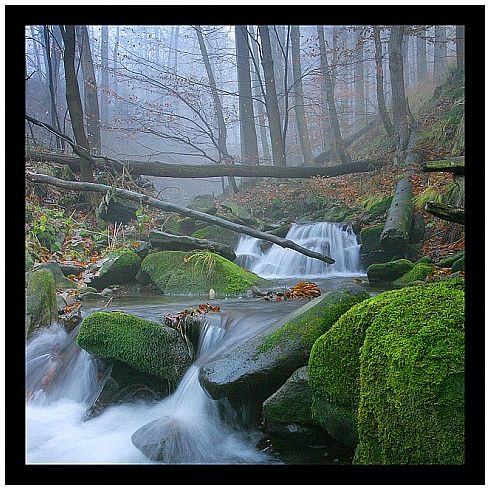 PICTURES FROM HISTORY: Rare Images Of War, History , WW2, Nazi Germany ...