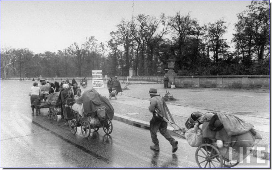 PICTURES FROM HISTORY: Rare Images Of War, History , WW2, Nazi Germany ...
