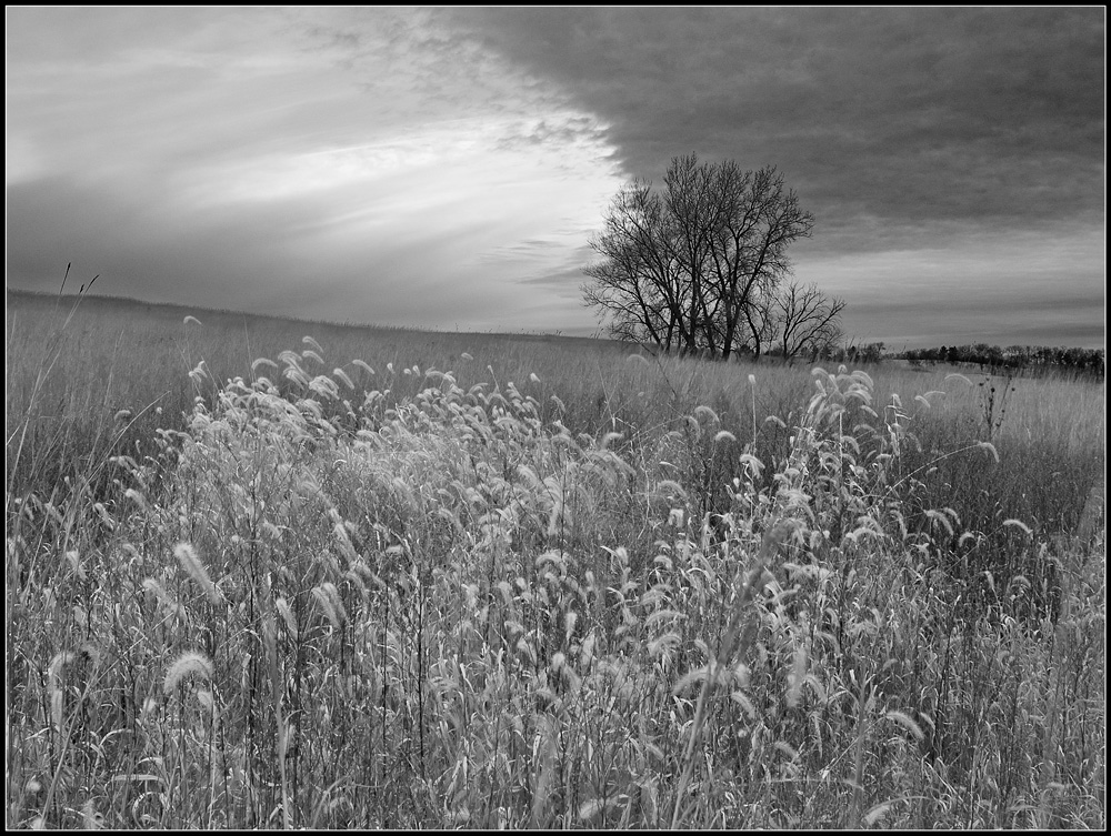 THE WRITE SISTERS: Poetry Friday: Willa Cather's O Pioneers!