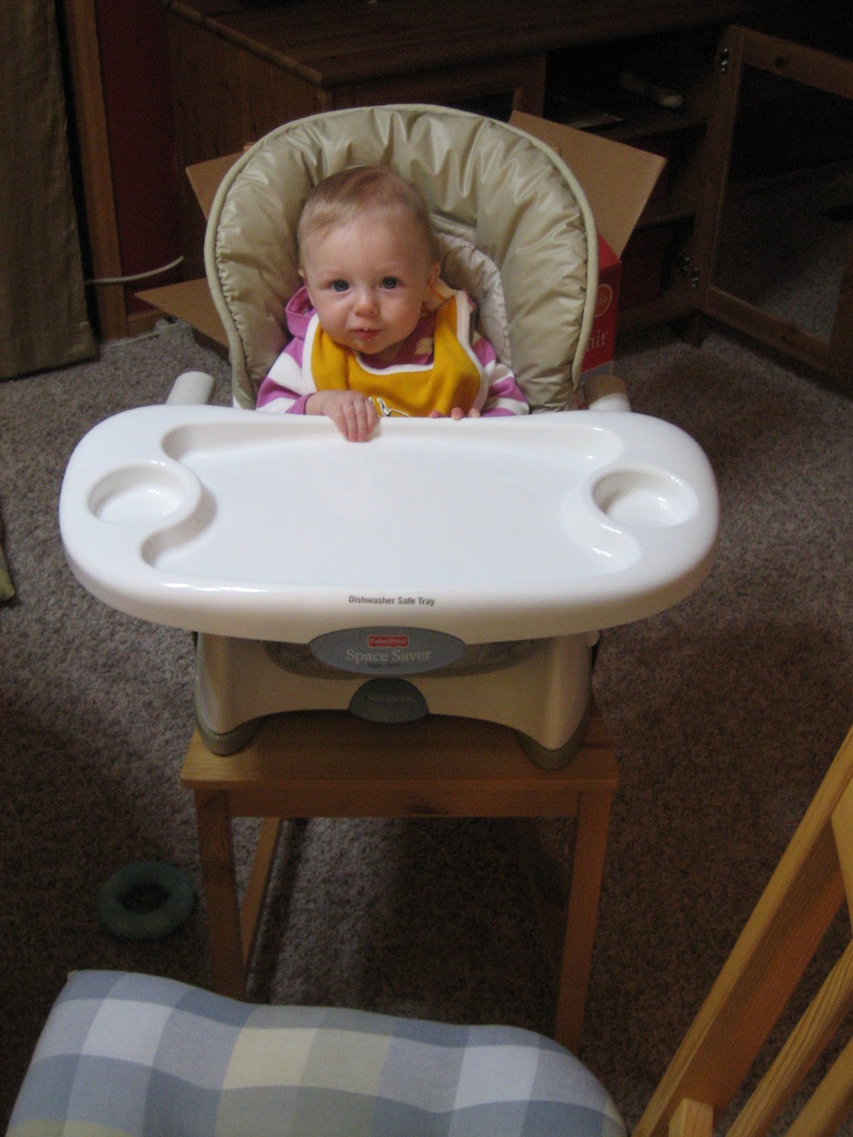 Nickleby Family: Creeping and then.....