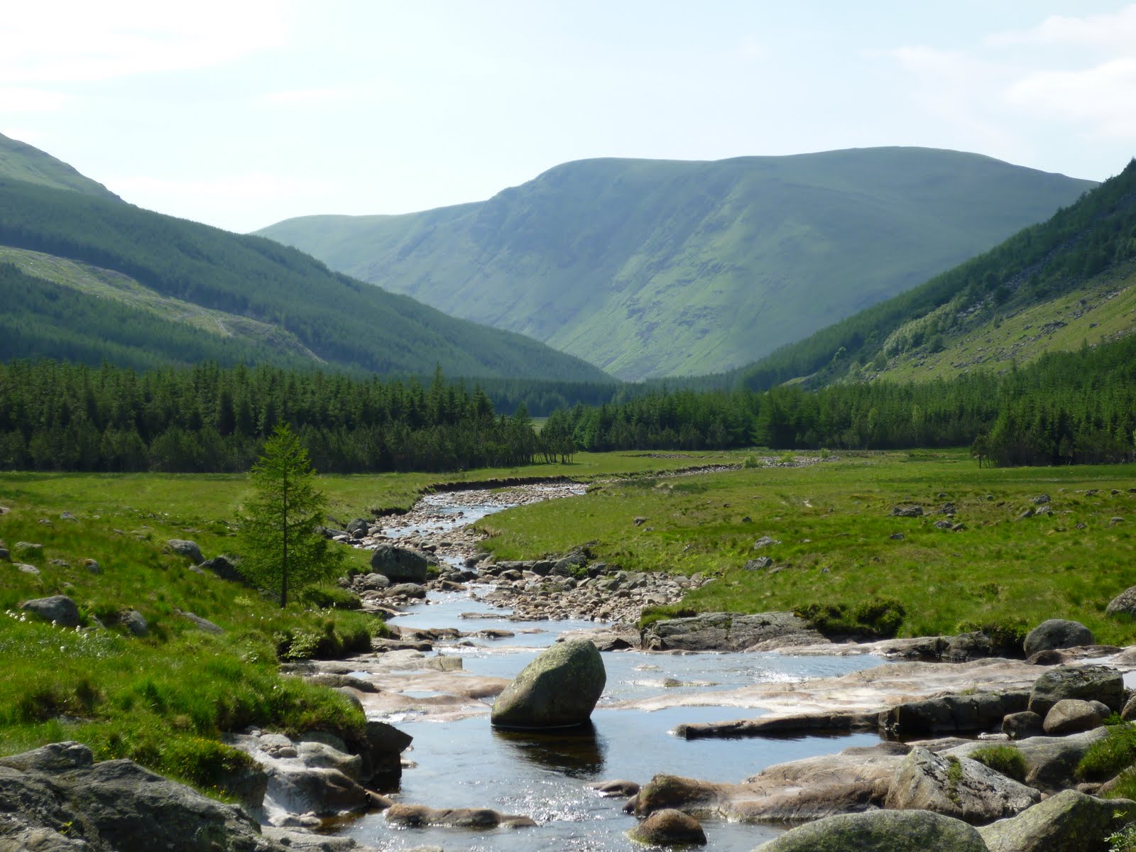 Hedgeland Tales: June 2010