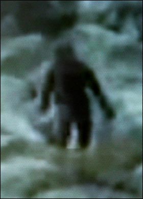 Paranormal And Strange World: Yeti Filmed In Poland