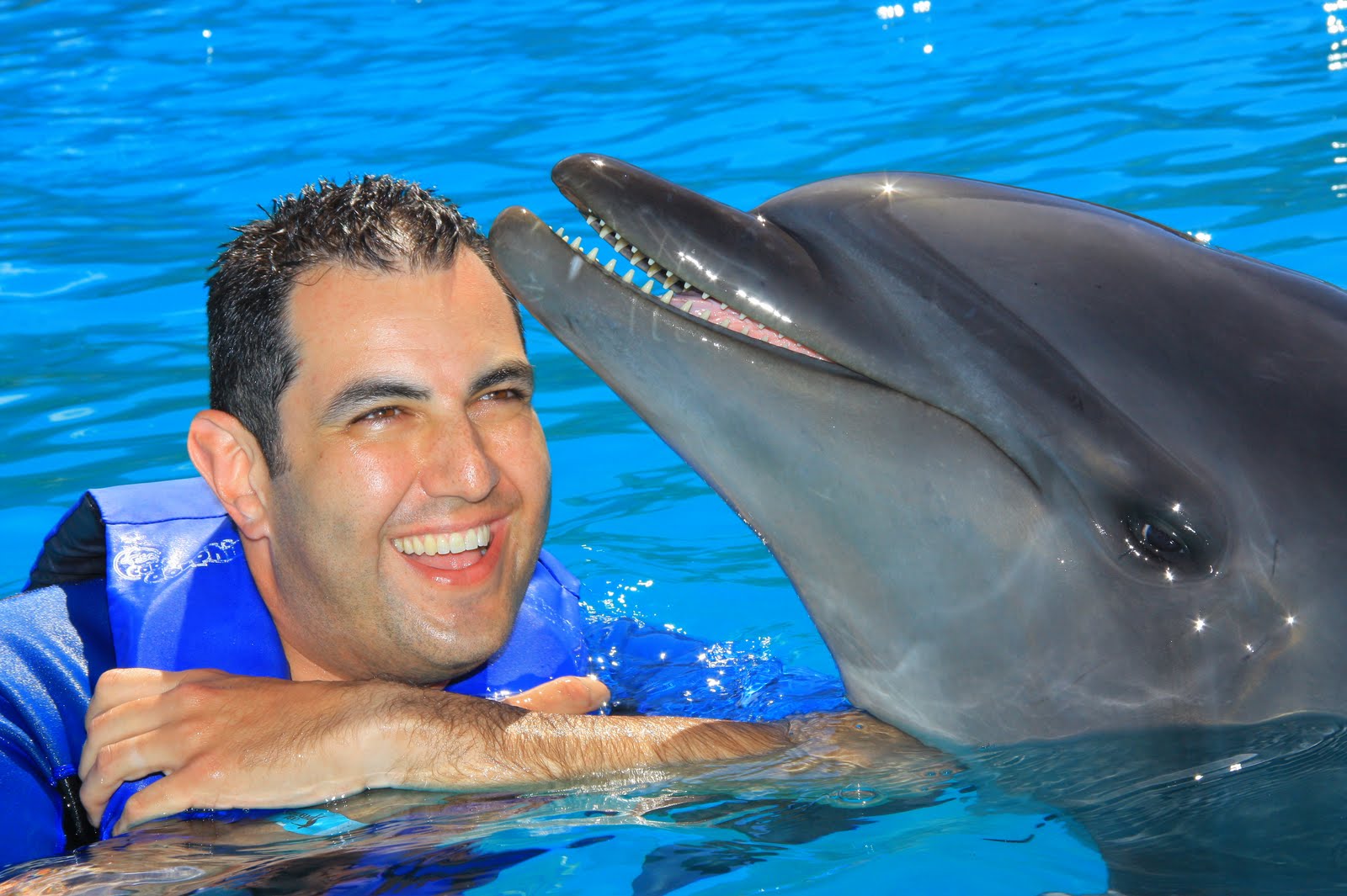 Our Adventures with Daniel: Dolphin Adventure in Cabo