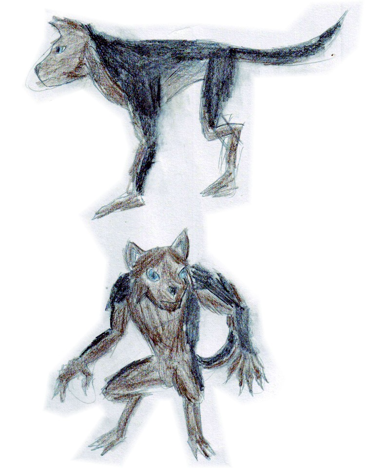 The Ascending Media Soak