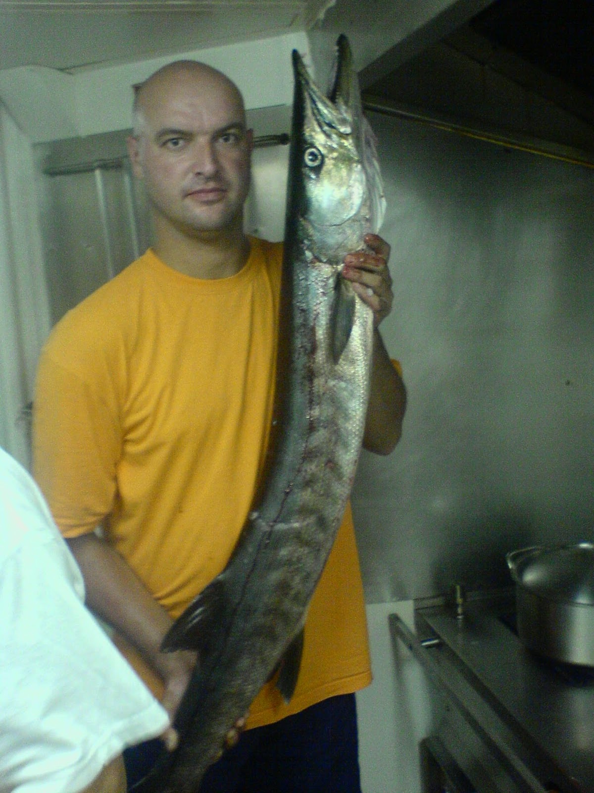 P i n k a: Ribolovac Marino