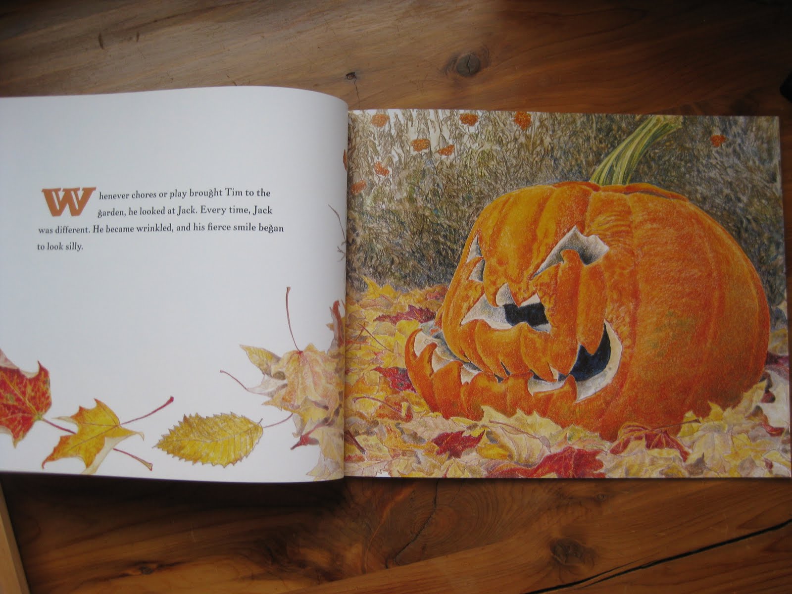 The Wonder Years: Our Own Pumpkin Jack Or An Observation of Pumpkin Decay