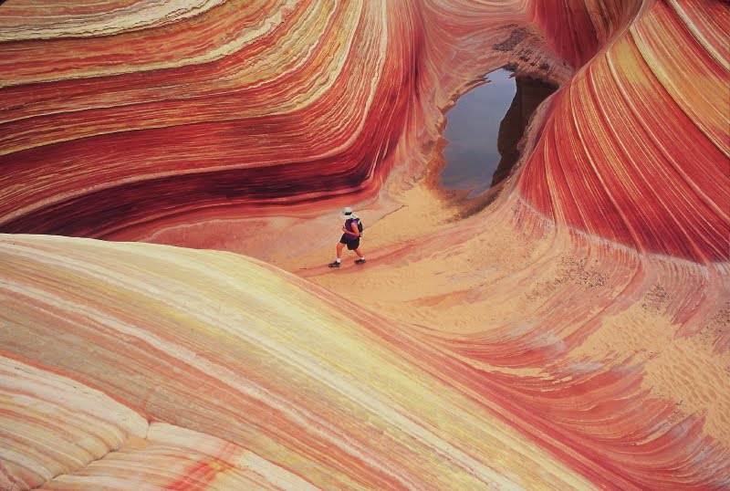 The Tarp Report: Peter Gutmann slide show