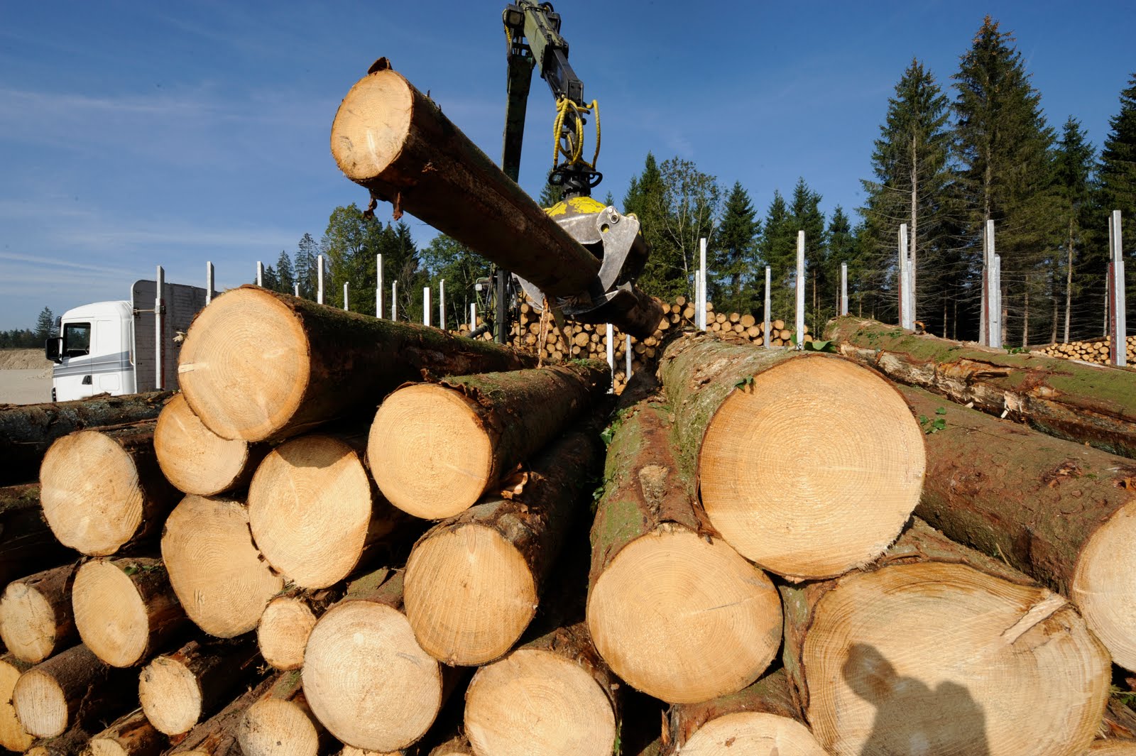 Forêts & Bois de l'Est: Le BOIS AVANCE ... vraiment