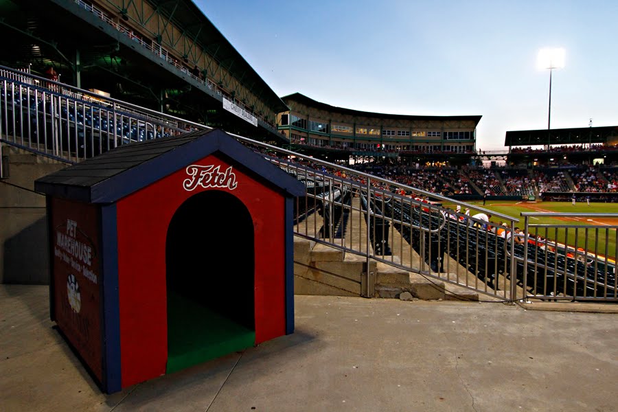 Kyle Spradley Photography Blog: Springfield Redbirds game at Hammons ...