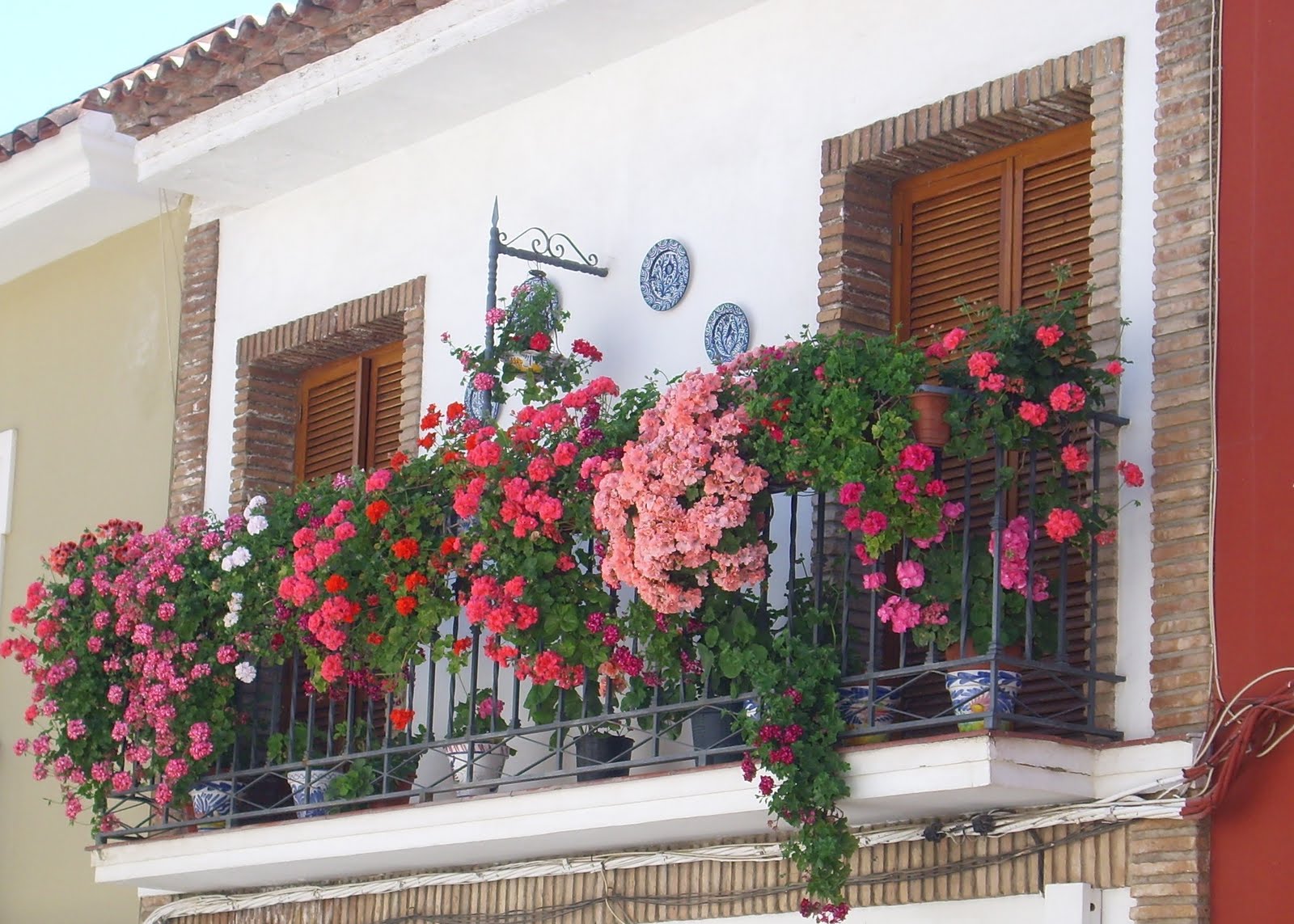 PUENTE-GENIL ES MI BLOG: Balcones pontanenses con encanto.-