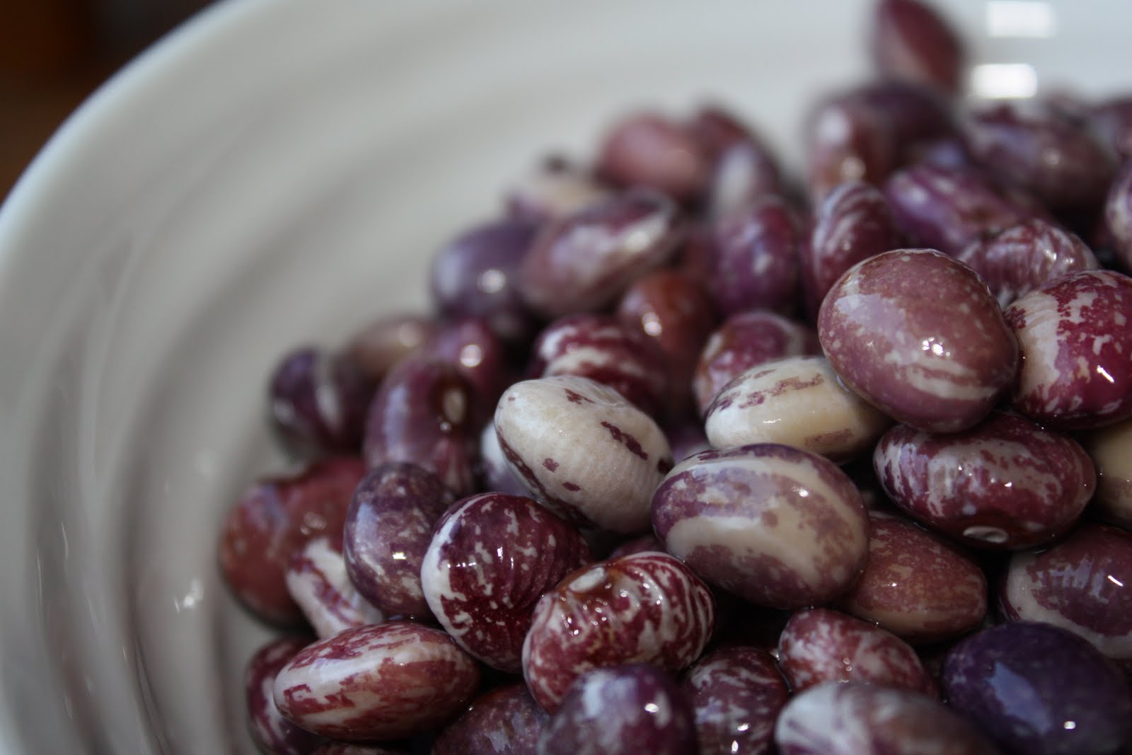 Cackalackyfoodie: June 2010