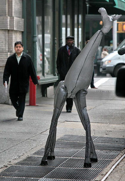 LeahNOlbrich: Joshua Allen Harris