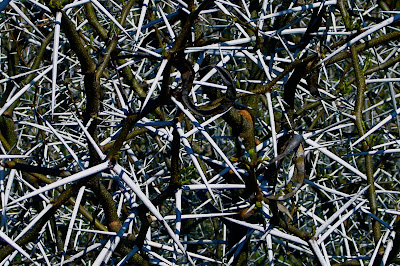 Badenhorst Annette in blog