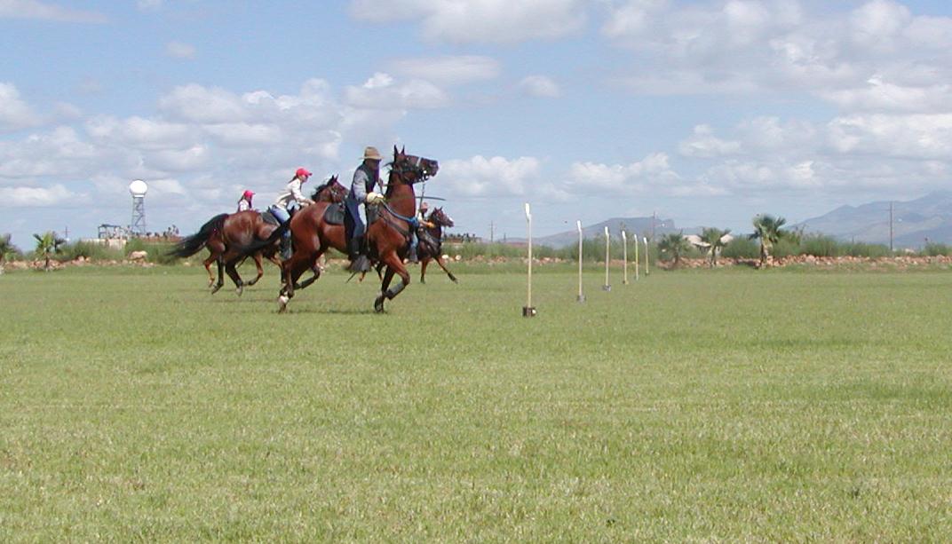 Cavalry Rider: August 2010