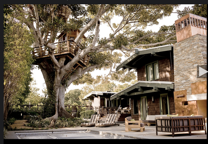 Alex Grant: Treehouse: The Ultimate Secret Fort