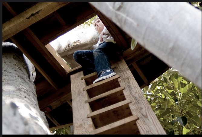 Alex Grant: Treehouse: The Ultimate Secret Fort