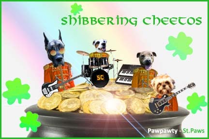 Da Shibbering Cheetos: Past Gigs