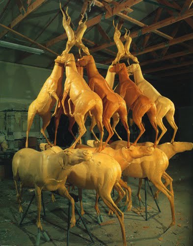 Taller de creación pictórica: Poética animal, el ciervo