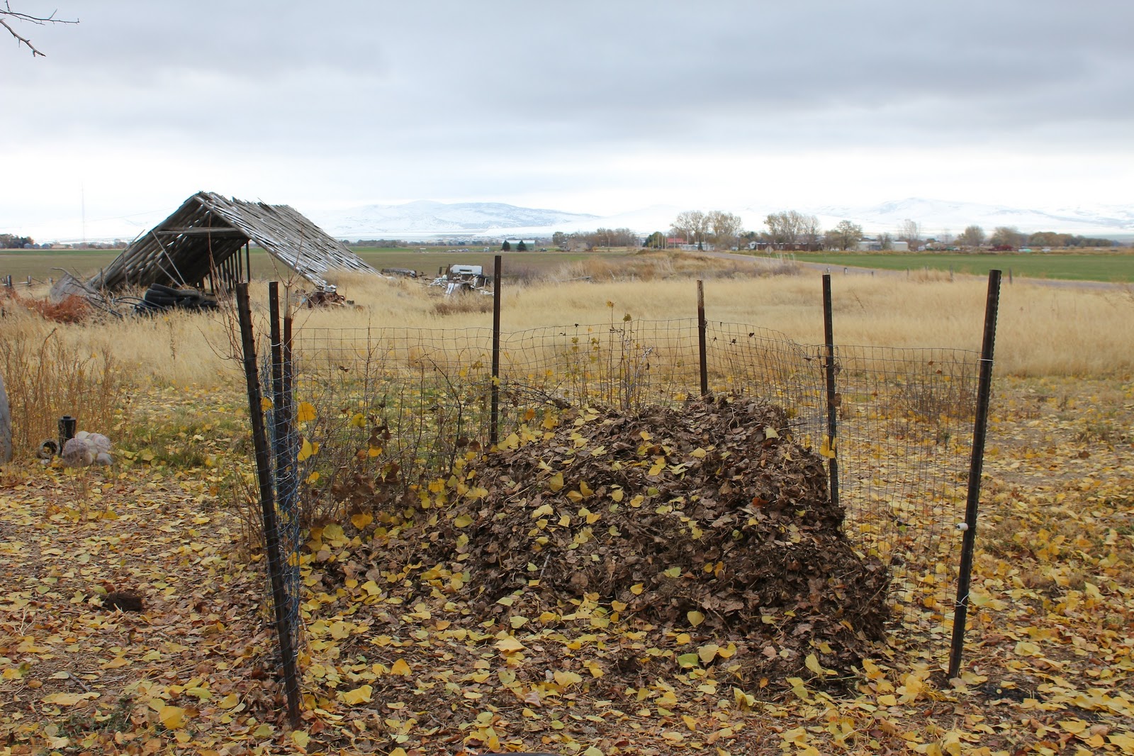 The Rural Brewer: What a difference a month makes