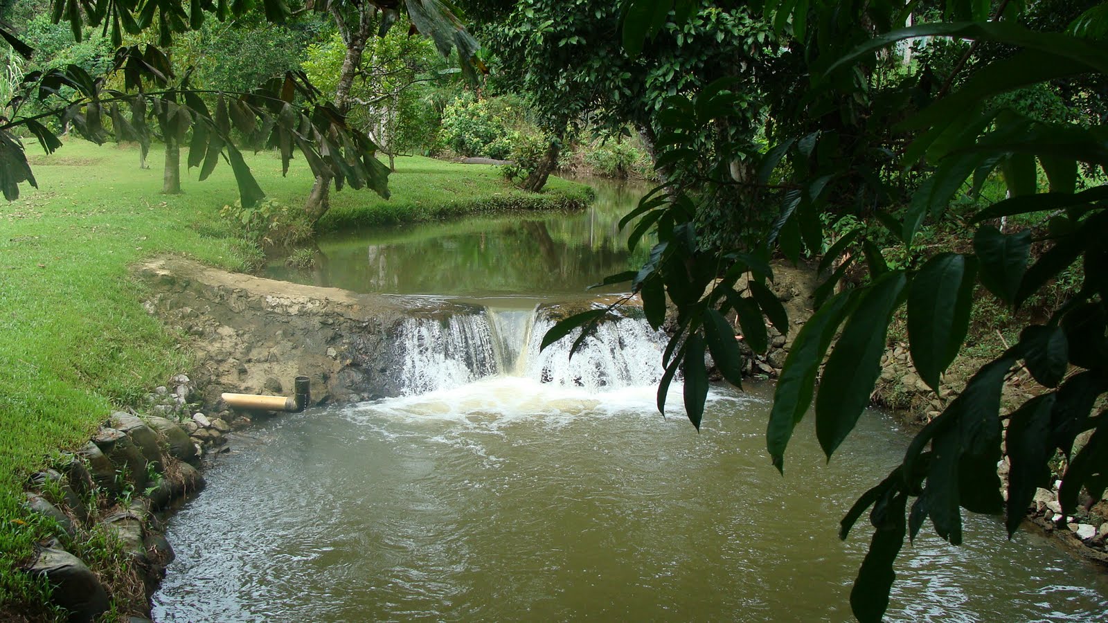 Another Day in Borneo: THE DRAGONS OF KO KO WANGI