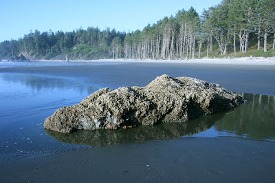 Nature remains.: Waiting