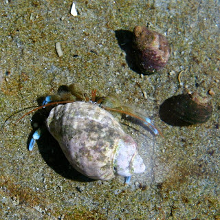 Nature remains.: Waiting