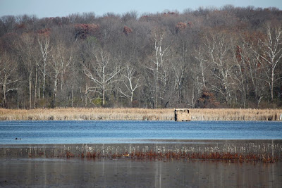 Nature remains.: One of the Guys