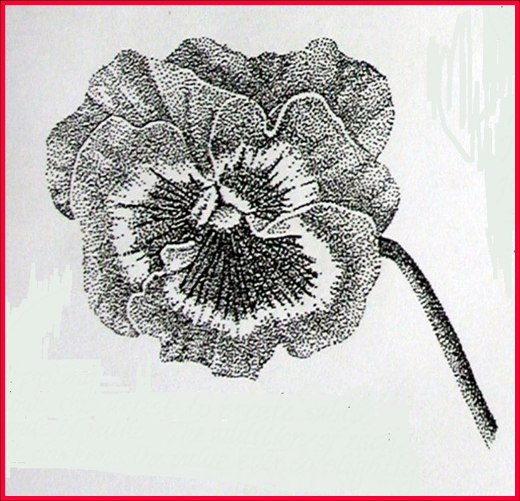 PENDIDIKAN SENI VISUAL: PENGENALAN BIDANG MENGAMBAR