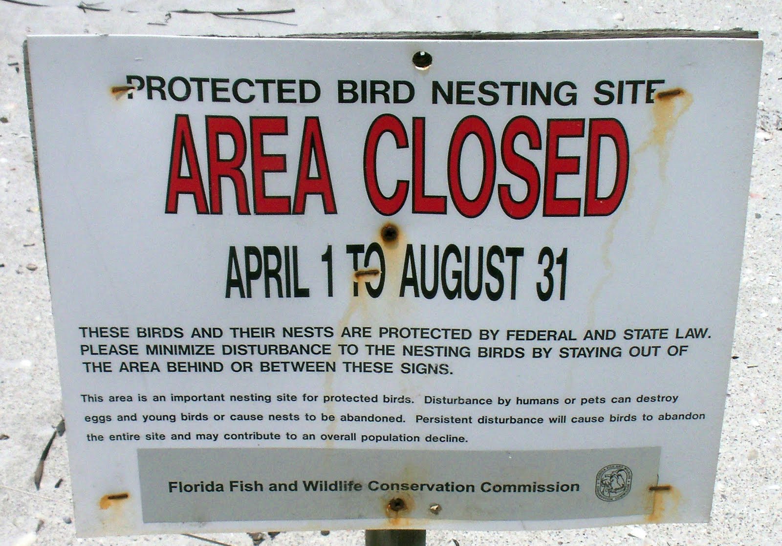 Southwest Florida Shoreline Studies: North Lido Beach Protected Nesting ...