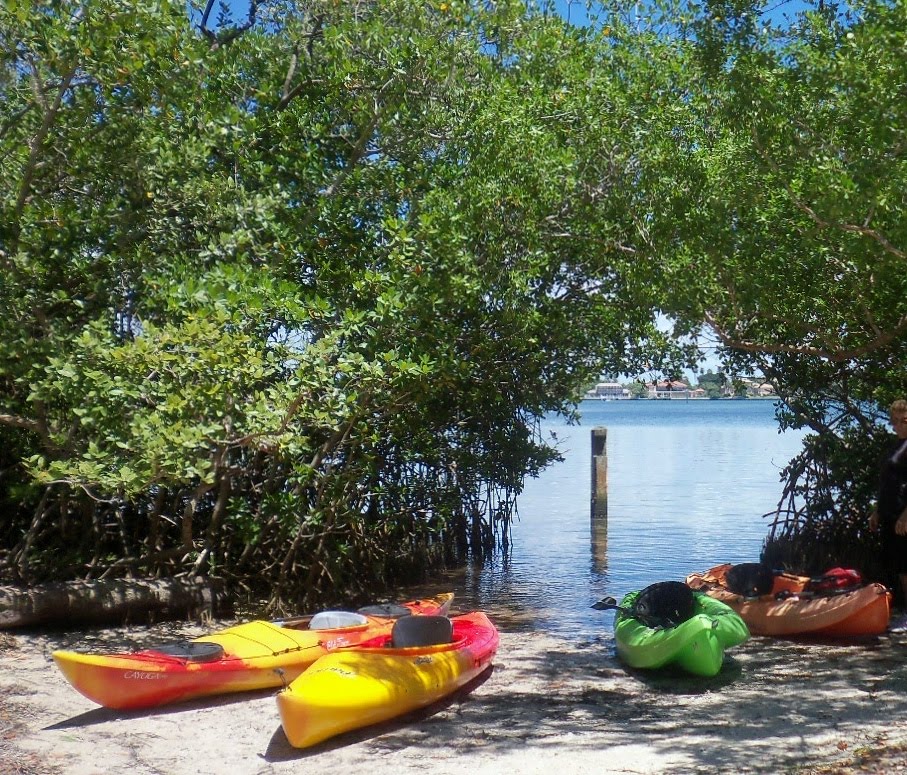 Southwest Florida Shoreline Studies: South Lido Park Kayak Launch