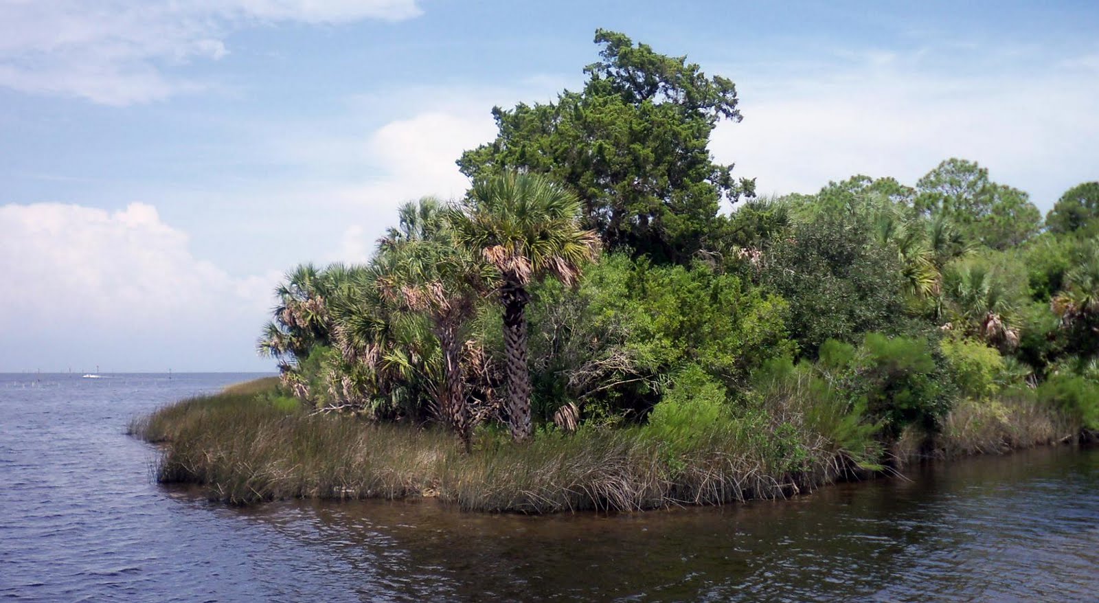 Southwest Florida Shoreline Studies: Bayport Shorelines