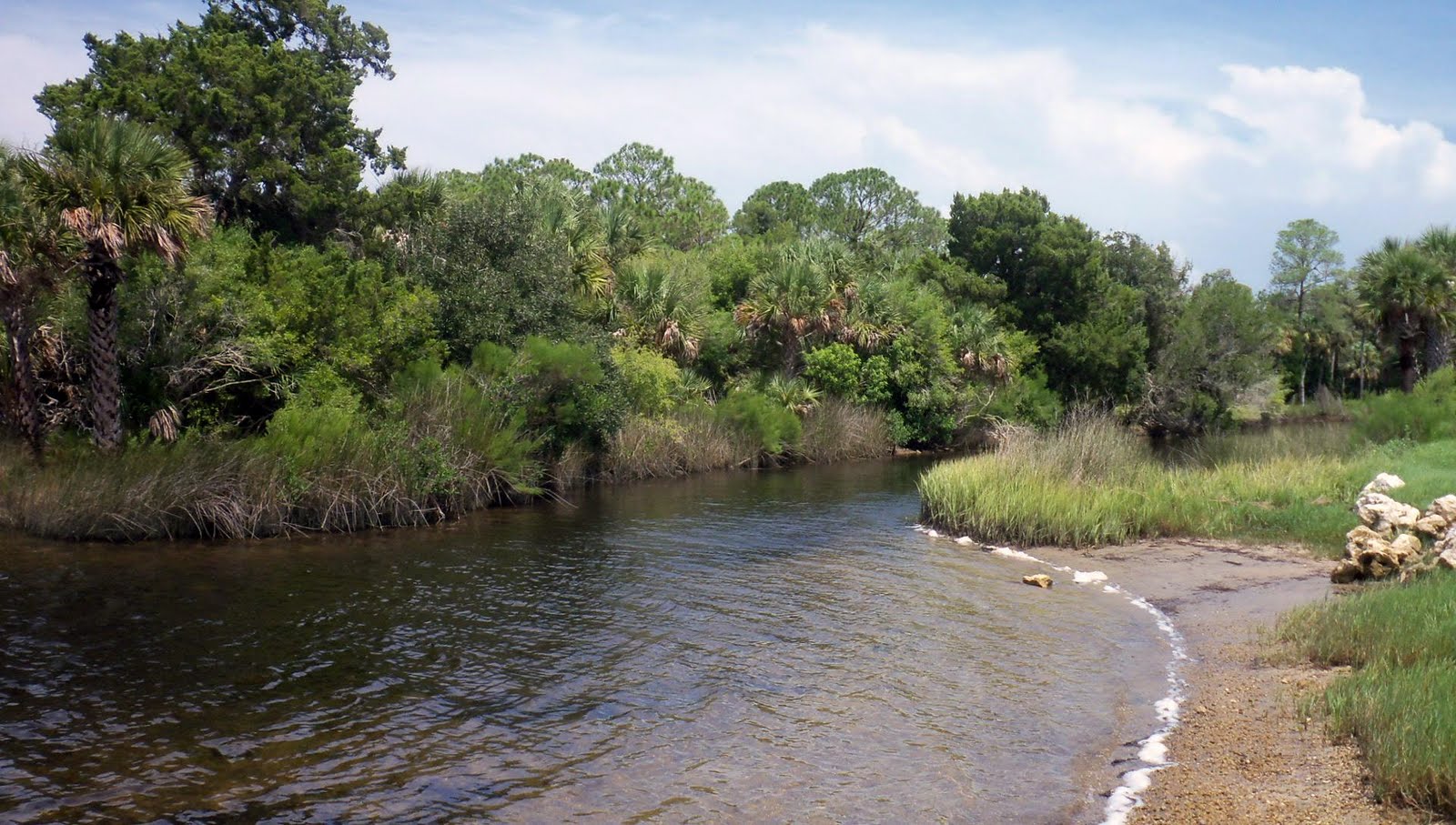 Southwest Florida Shoreline Studies: Bayport Shorelines