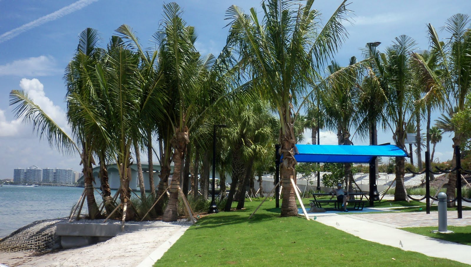 Southwest Florida Shoreline Studies: Bird Key Renovation