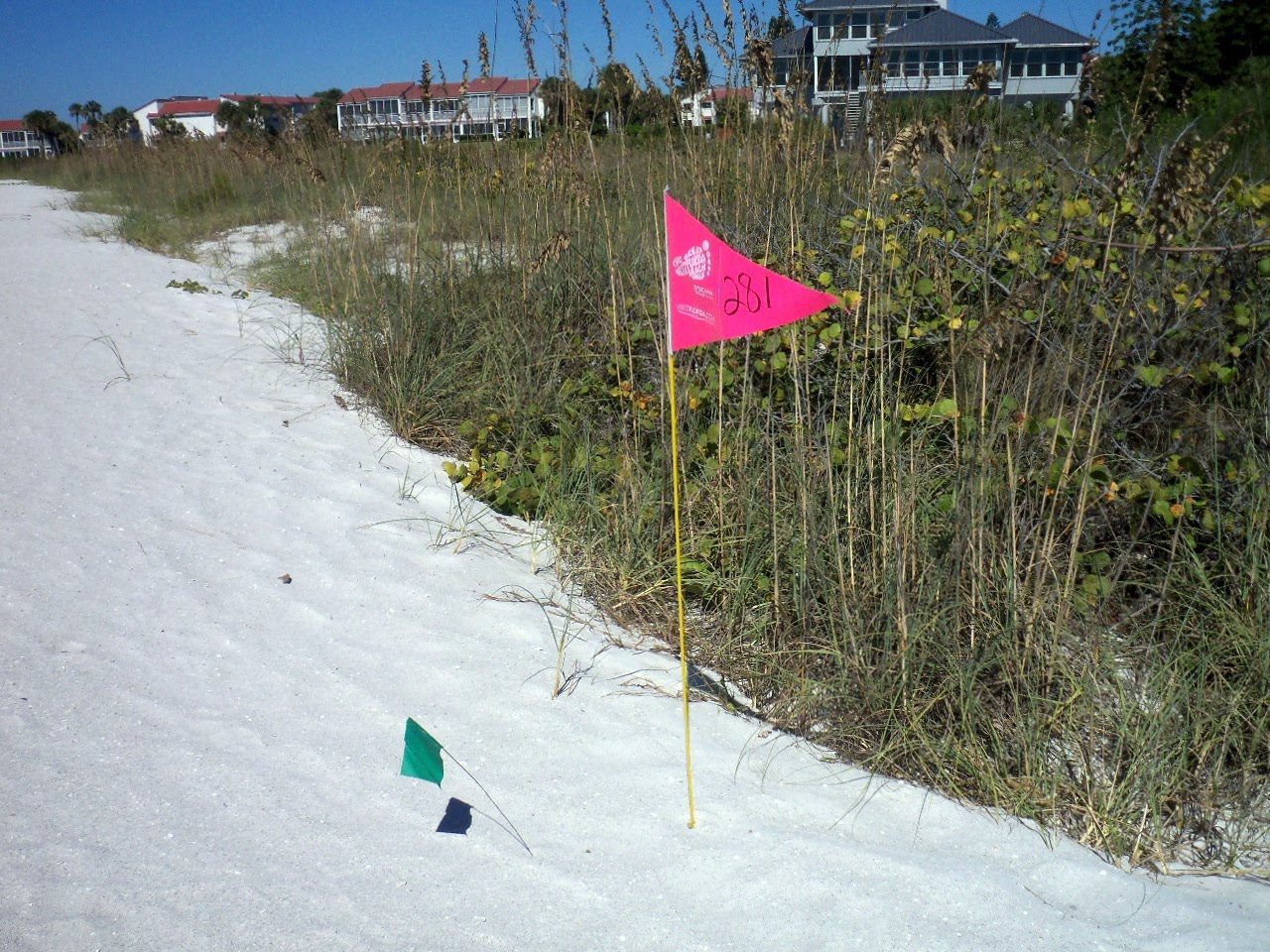 Southwest Florida Shoreline Studies: Great Florida Beach Walk