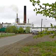 Web Talk - Newfoundland and Labrador: 2010