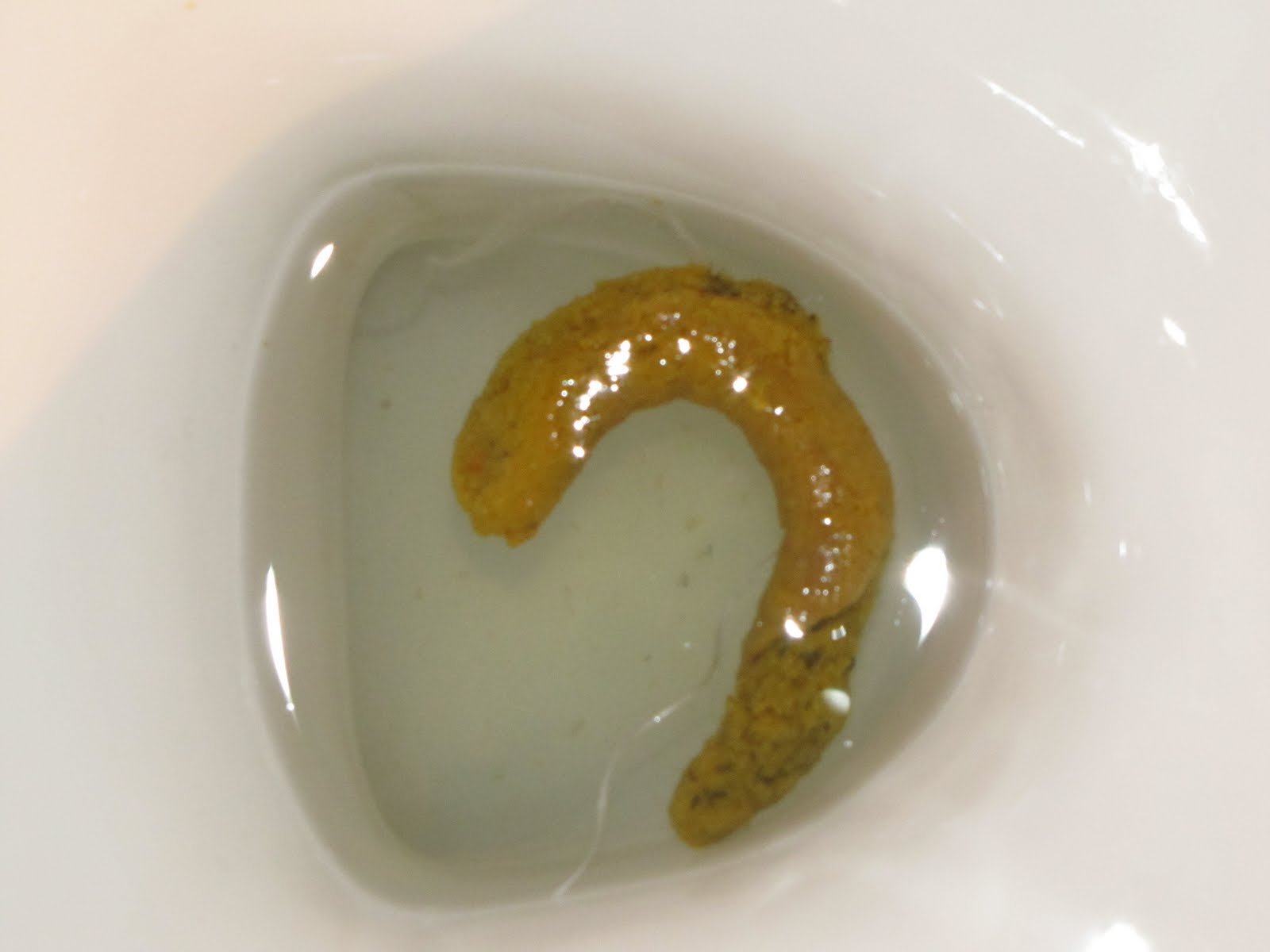 long distance love in the oven: August 2010