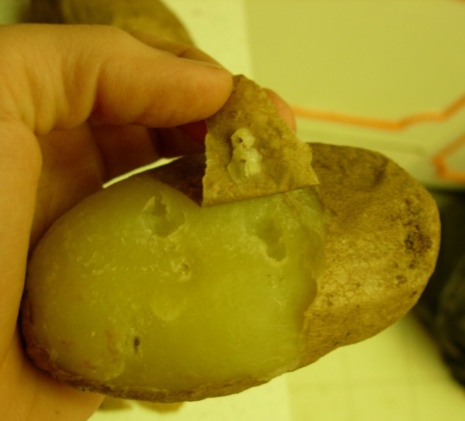 How to Dehydrate Potatoes | End Of Ordinary