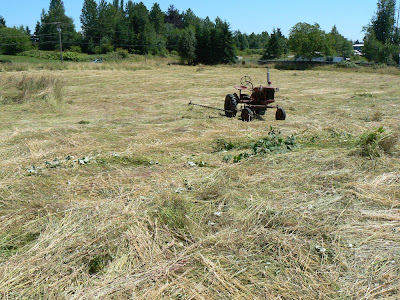 Woodland Creek Farm Soay Sheep: Putting up hay with Farmall Cub and Cub ...