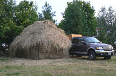Woodland Creek Farm Soay Sheep: Putting up hay with Farmall Cub and Cub ...