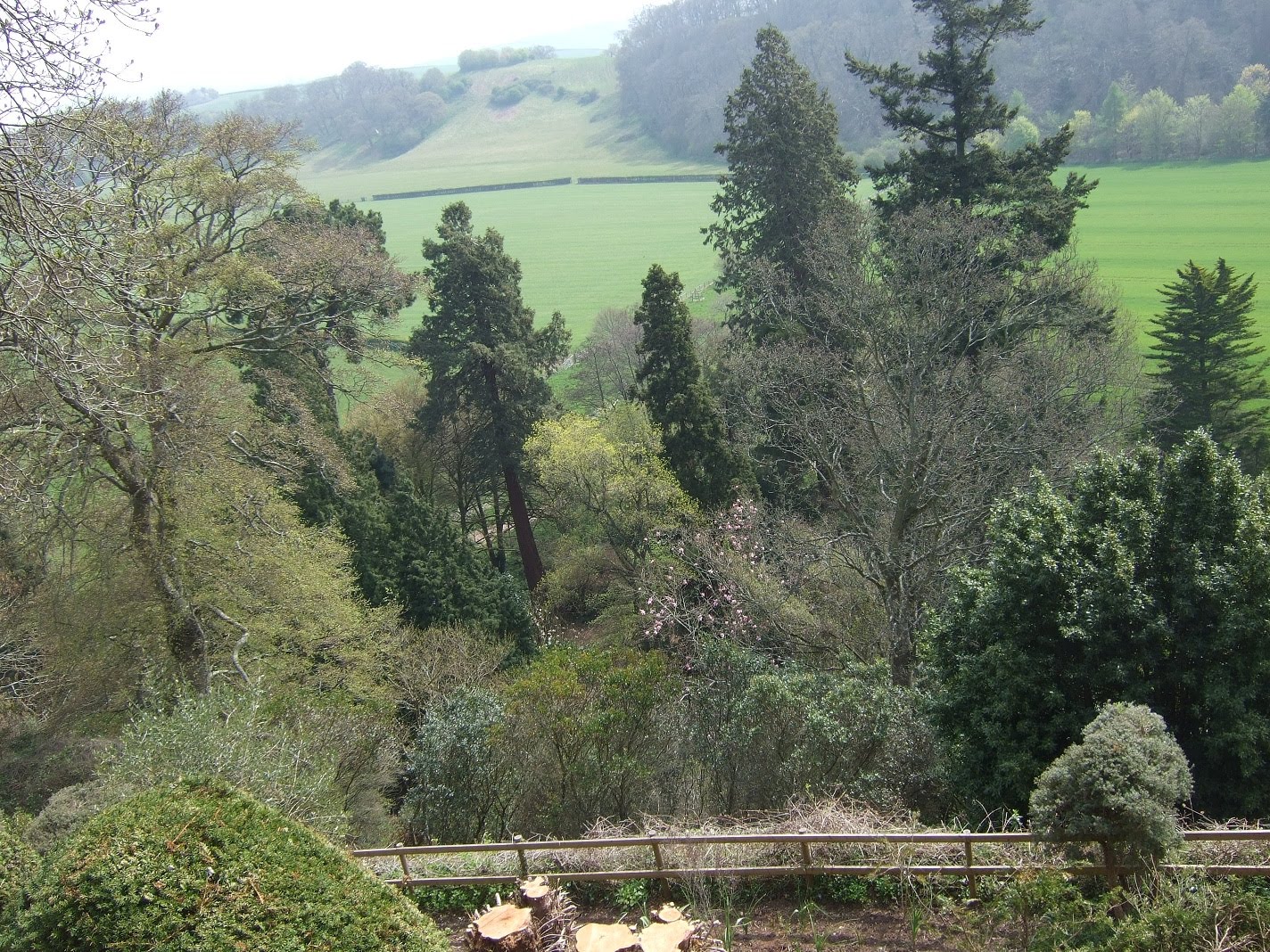 The Blueberry Patch: Car boot finds and Dunster castle