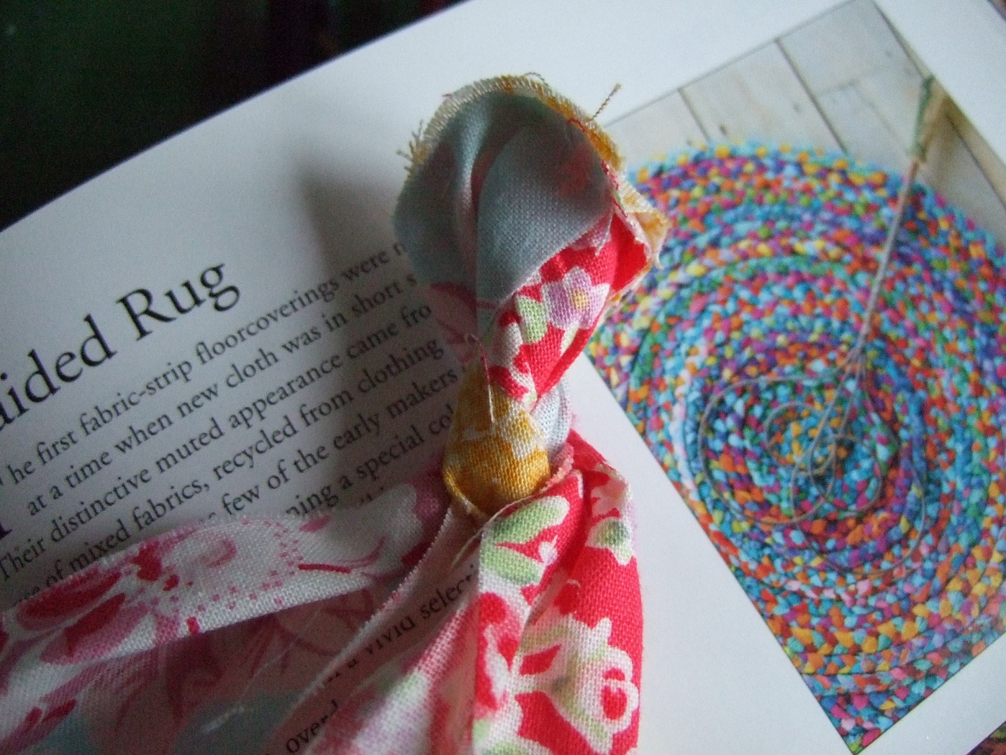 The Blueberry Patch: New Skills