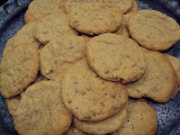 Crispy Praline Cookies