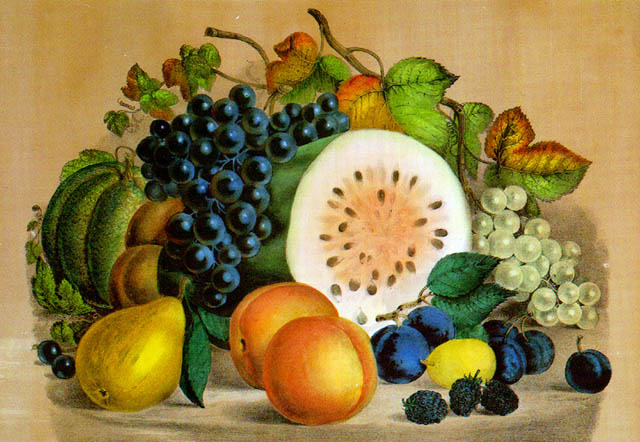 Fruit Maturity and Harvesting: FRUIT MATURITY AND HARVESTING