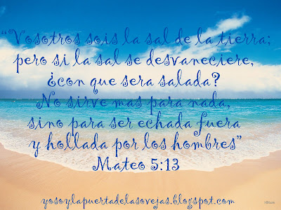 YO SOY EL BUEN PASTOR: Mateo 5:13