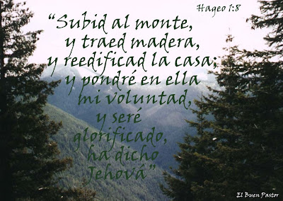 YO SOY EL BUEN PASTOR: Hageo 1:8