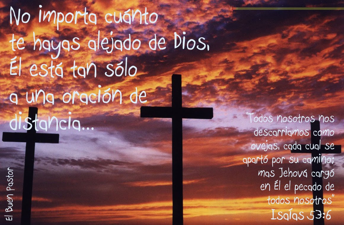YO SOY EL BUEN PASTOR: Isaías 53:6